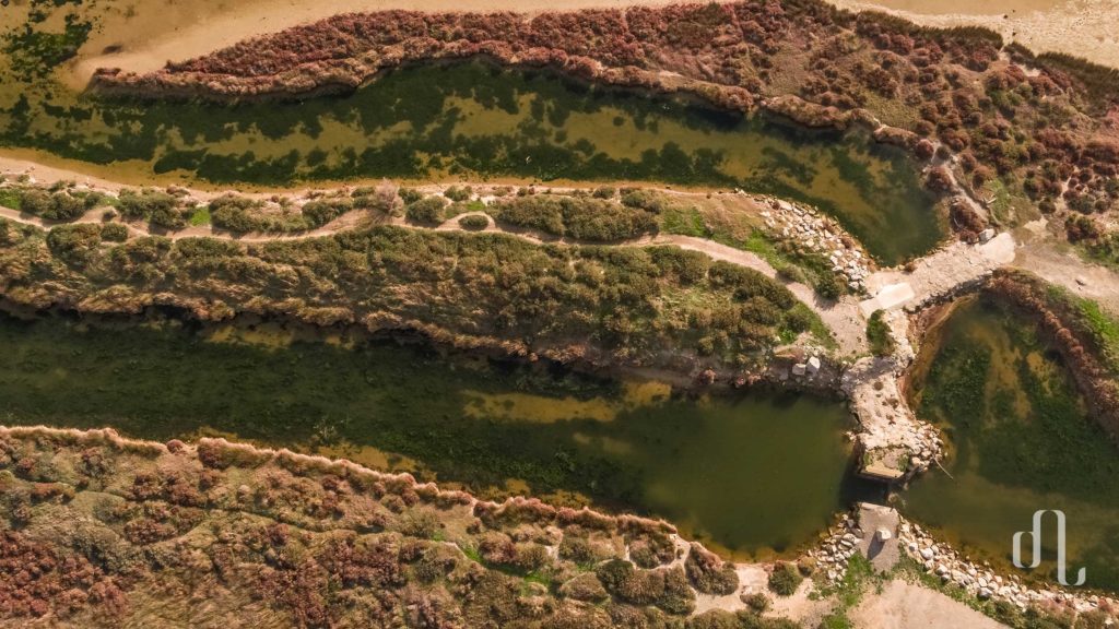 Lion Drones – Photographe et vidéaste par drones